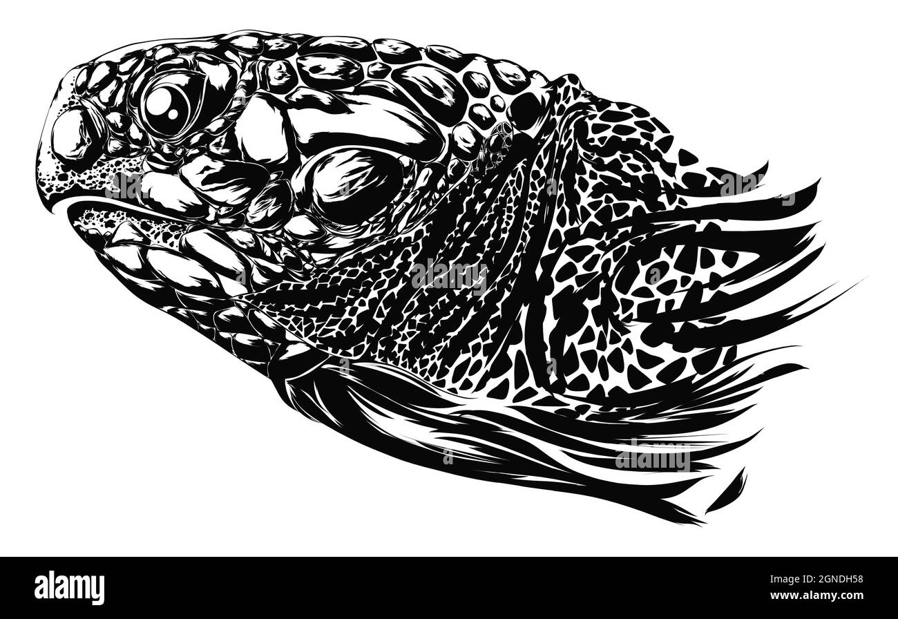 Beautiful illustration of a turtle made in high contrast Stock Photo ...