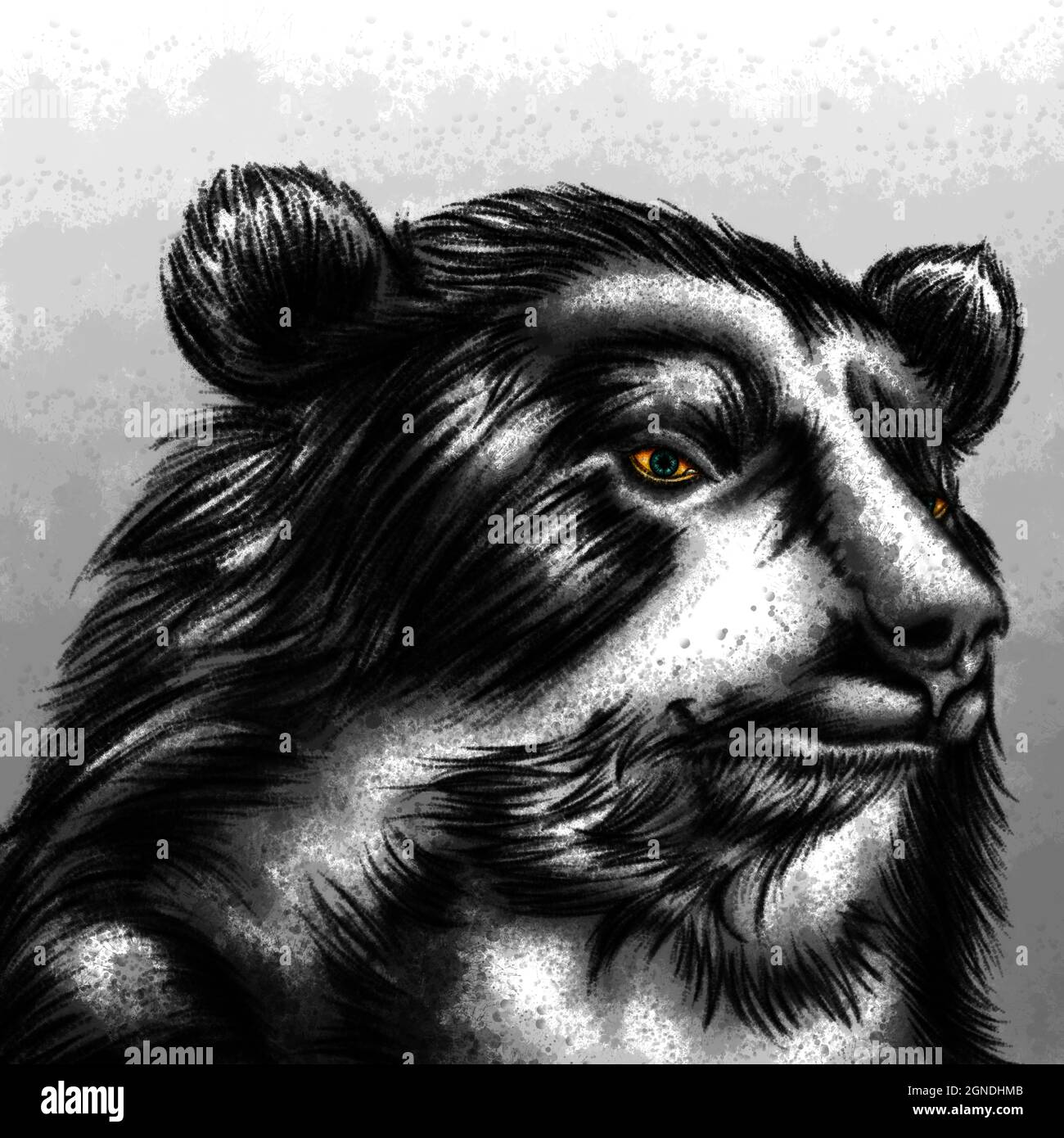 Beautiful digital charcoal illustration of a spectacled bear Stock ...