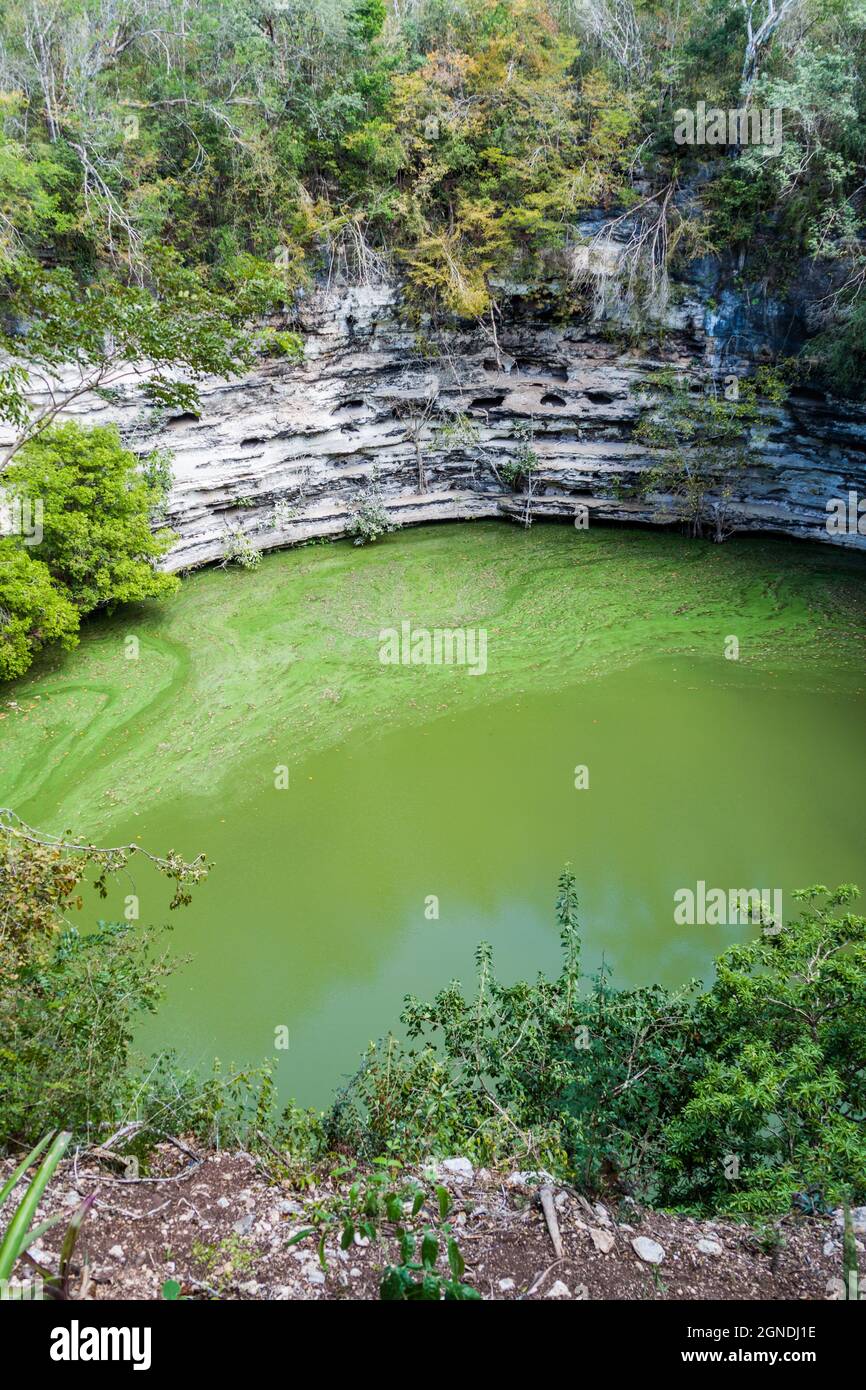 Sacred cenote at the archeological site Chichen Itza, Mexico Stock ...