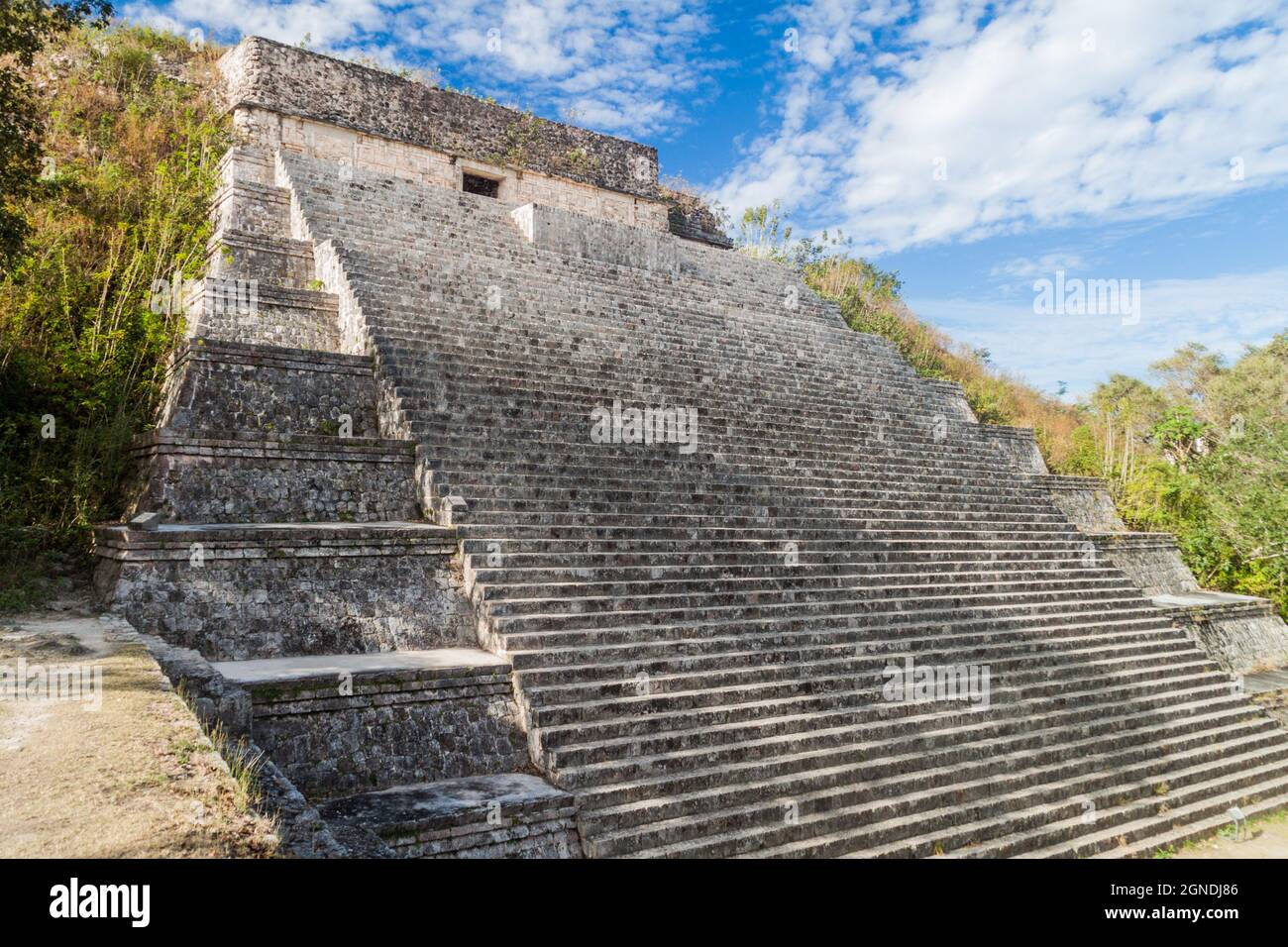Grand Pyramid in the ancient Mayan city Uxmal, Mexico Stock Photo - Alamy