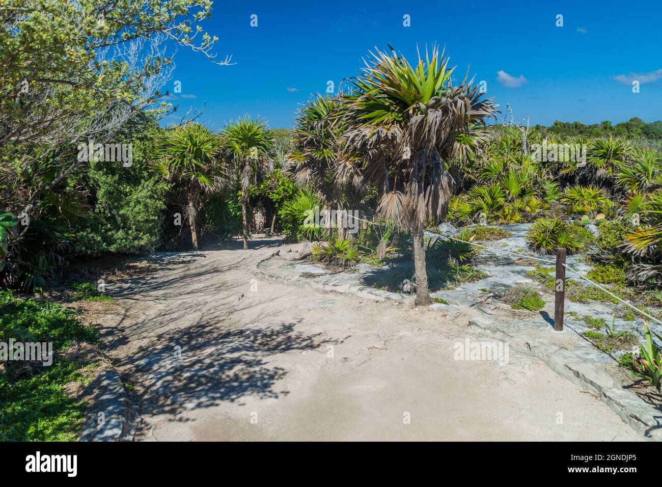 Trail through the ruins of the ancient Maya city Tulum, Mexico Stock ...