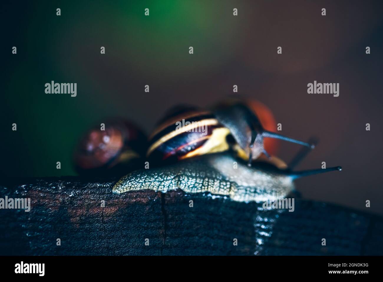 Black rocky hi-res stock photography and images - Alamy
