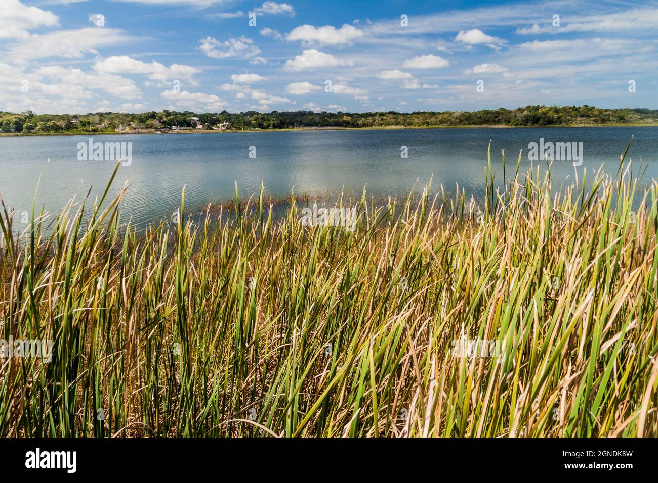 Laguna Coba lake near Mayan ruins of Coba, Mexico Stock Photo - Alamy