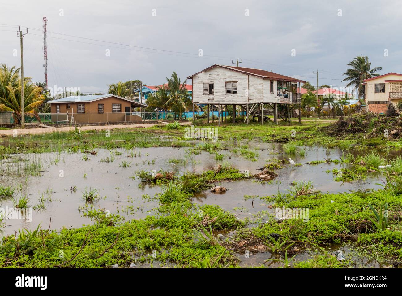 March area in Dangriga town, Belize Stock Photo - Alamy
