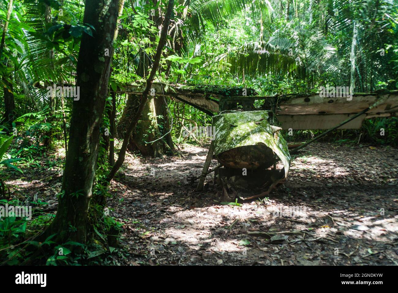 Plane wreck in Cockscomb Basin Wildlife Sanctuary, Belize. This plane ...
