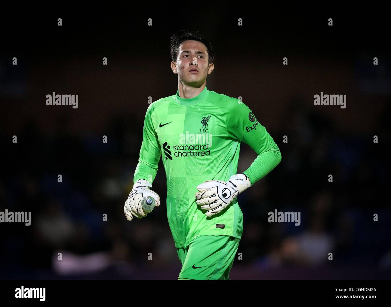 Pitaluga liverpool hi-res stock photography and images - Alamy