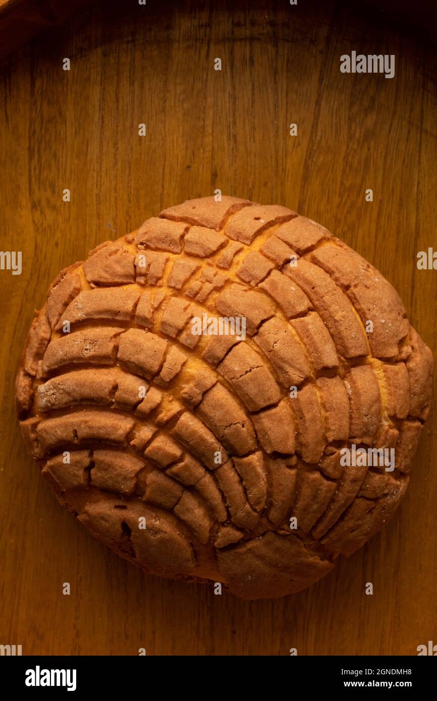 top view of a delicious traditional Mexican sweet bread called concha ...
