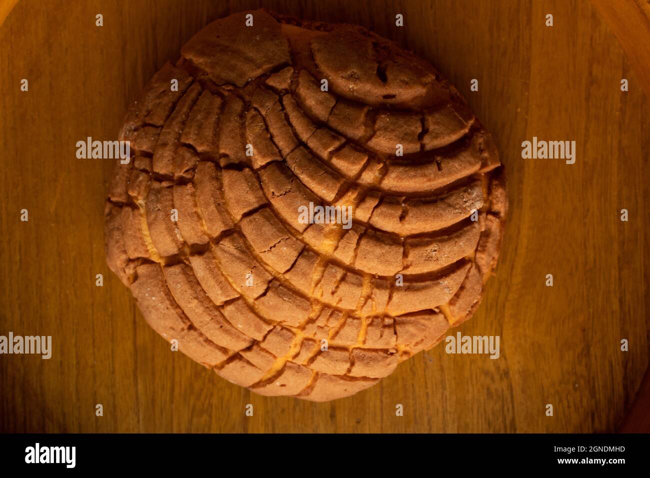 top view of a delicious traditional Mexican sweet bread called concha ...