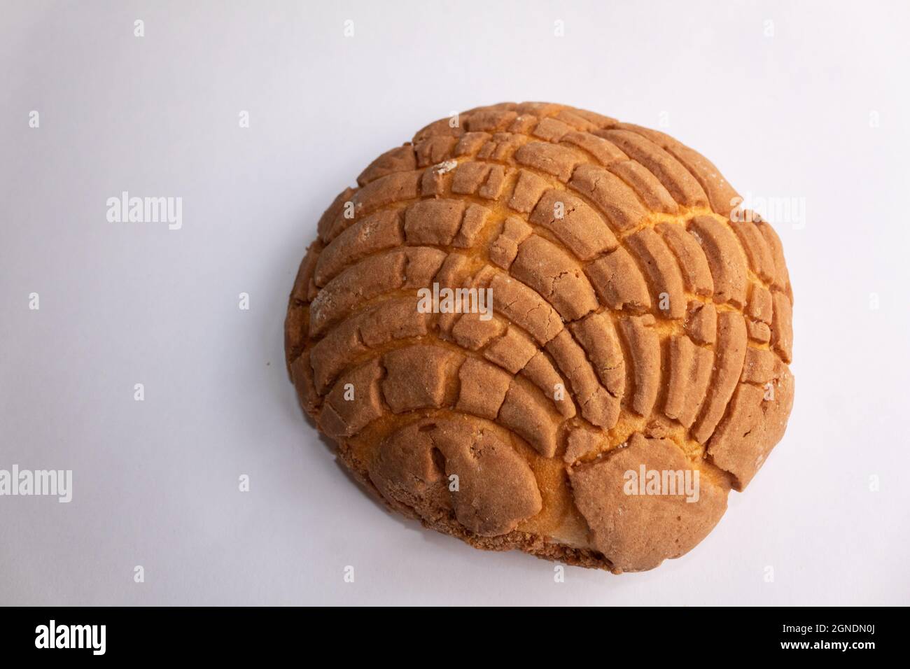 top view of a delicious traditional Mexican sweet bread called concha ...