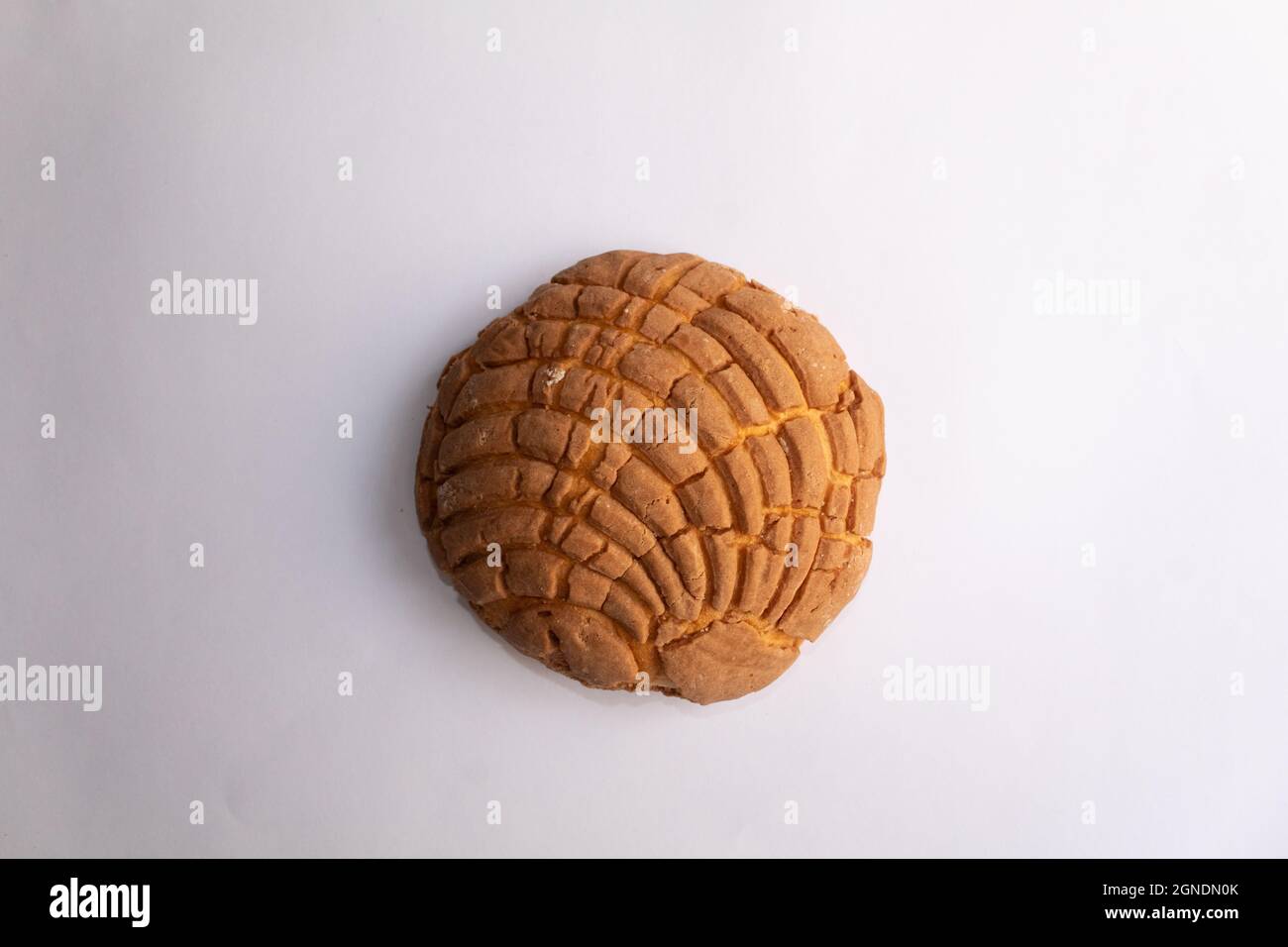 top view of a delicious traditional Mexican sweet bread called concha ...