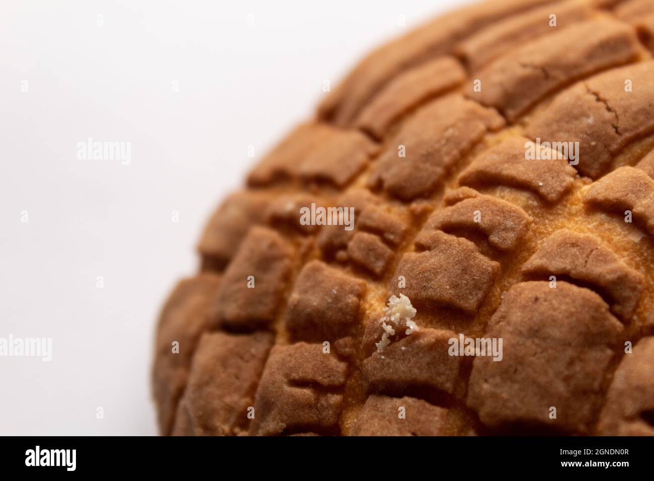 close up of a delicious traditional Mexican sweet bread called concha ...
