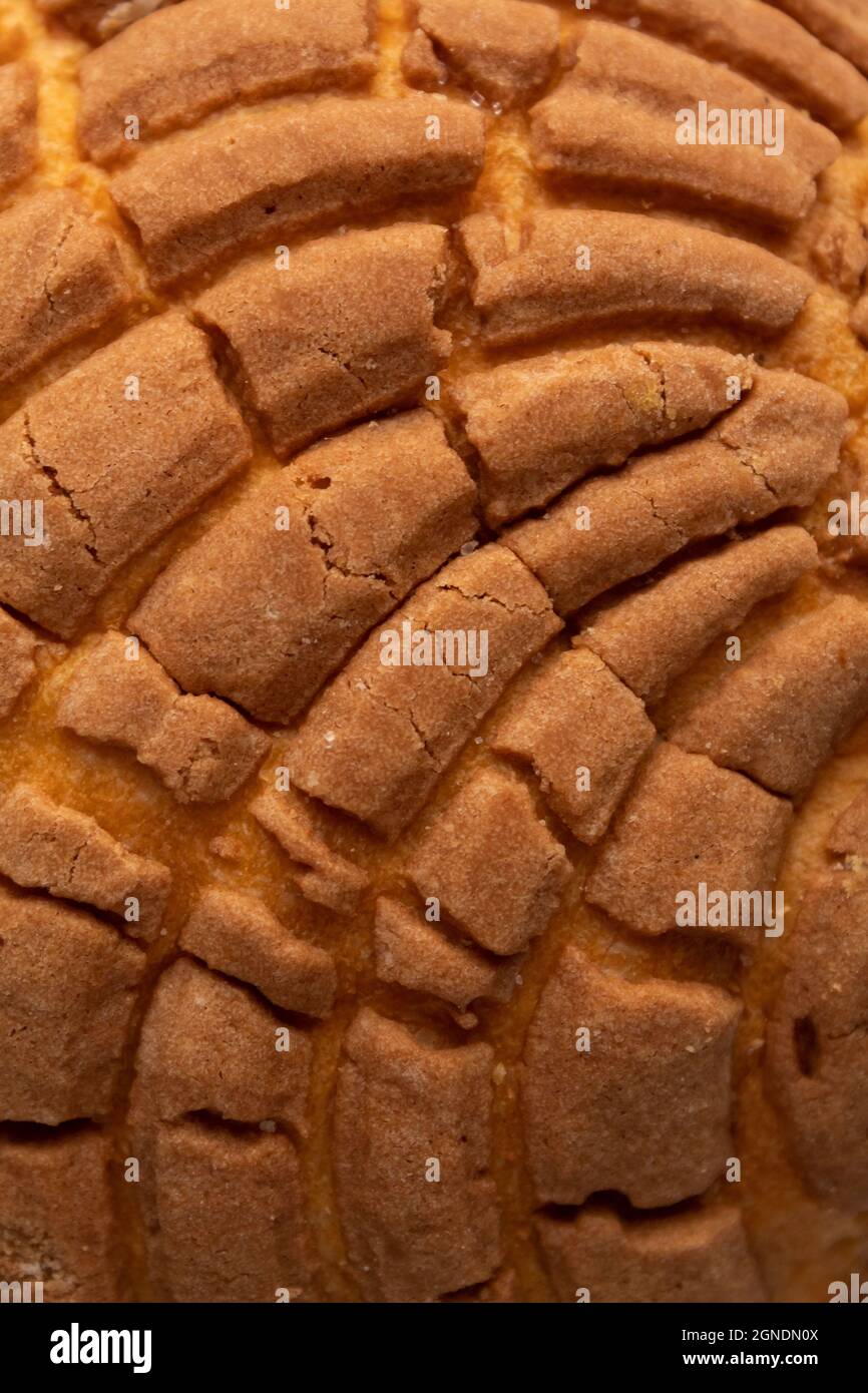 close up of a delicious traditional Mexican sweet bread called concha ...