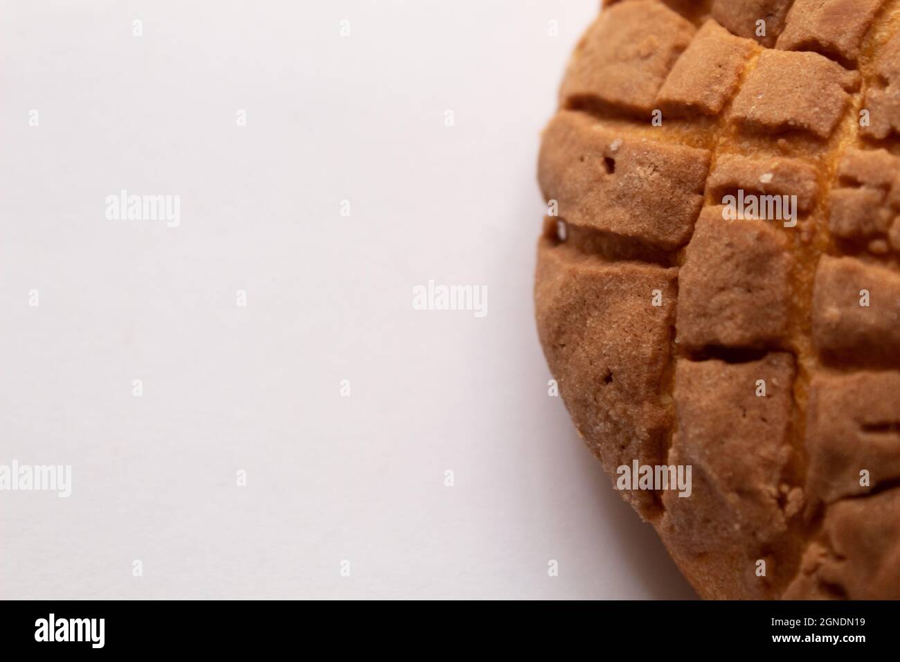 close up of a delicious traditional Mexican sweet bread called concha ...