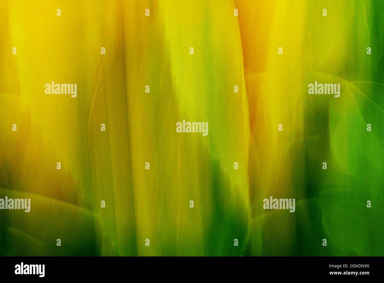 Sunflower seeds soil hi-res stock photography and images - Alamy