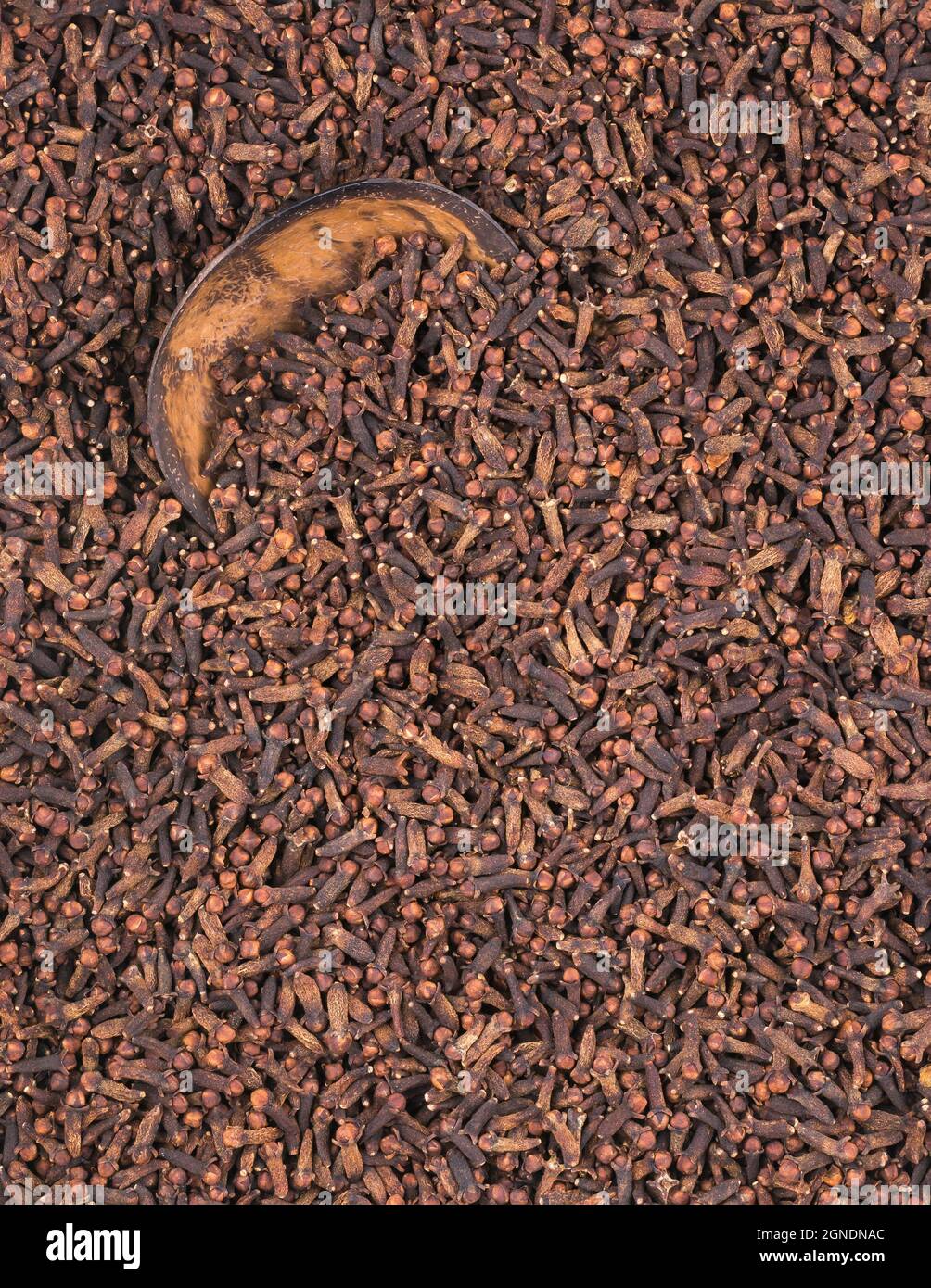 dried cloves with a cup made out of coconut shell, aromatic spice and ...