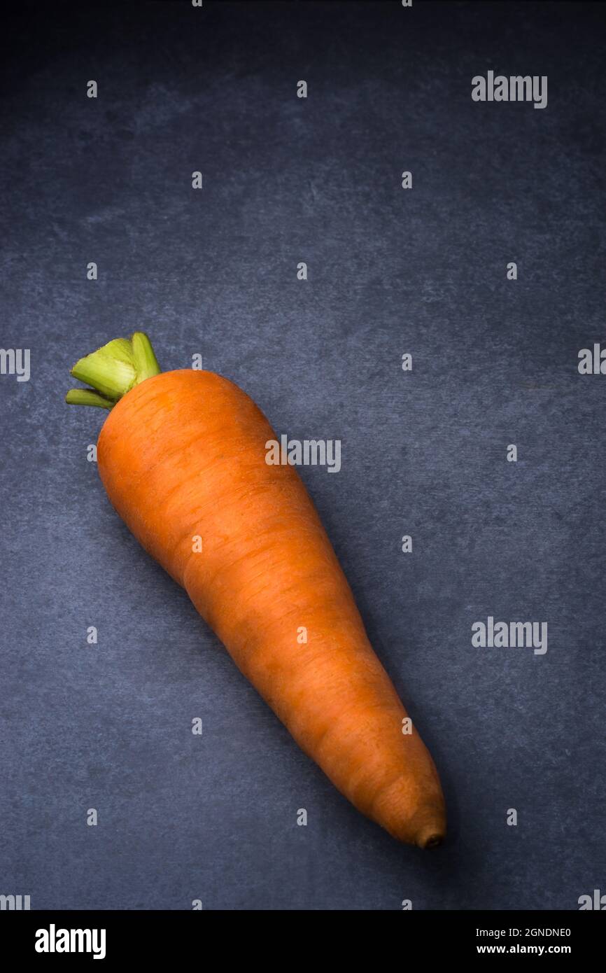 single carrot, a root vegetable isolated on a dark textured background ...
