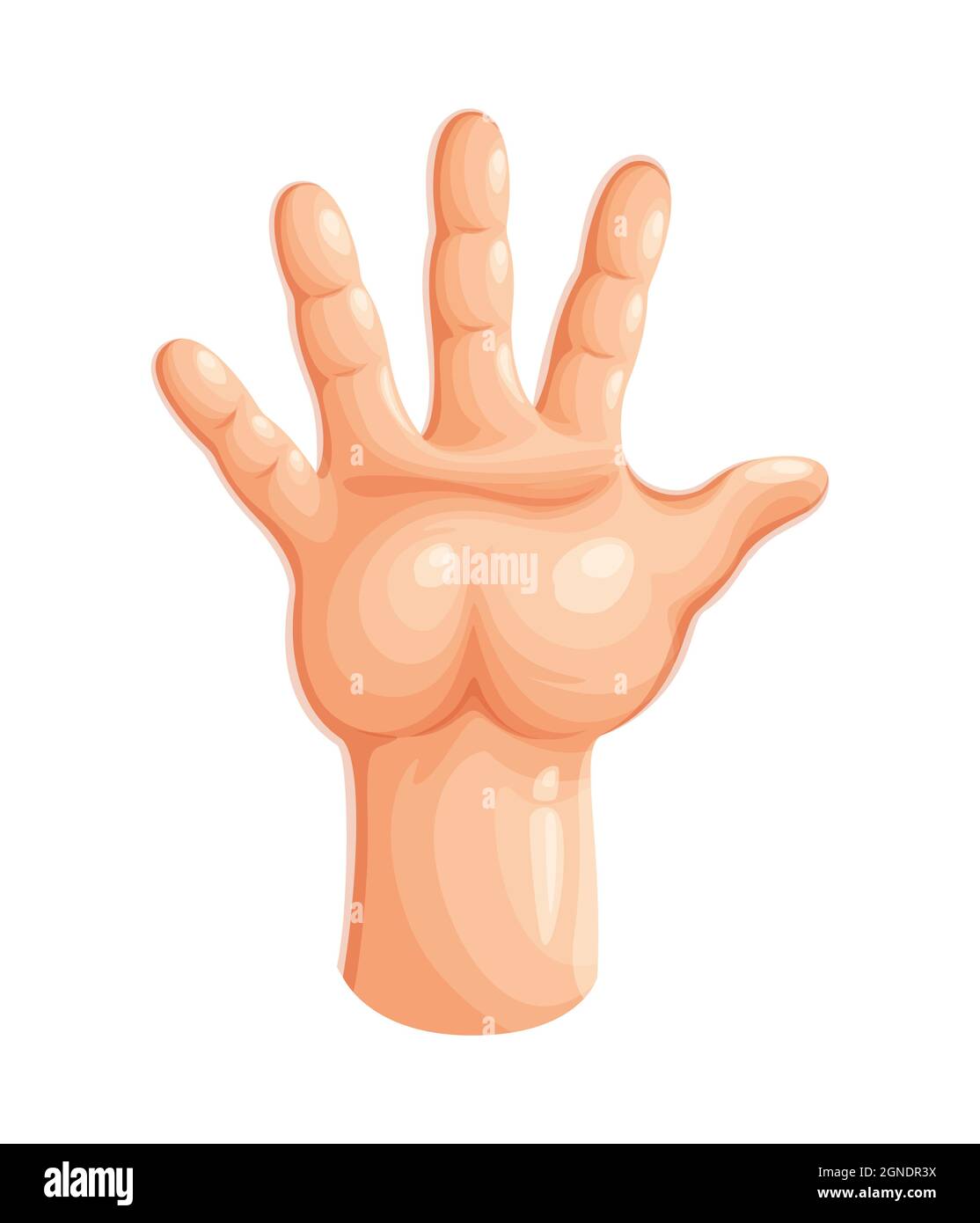 A beautiful illustrated light skinned human hand Stock Photo - Alamy