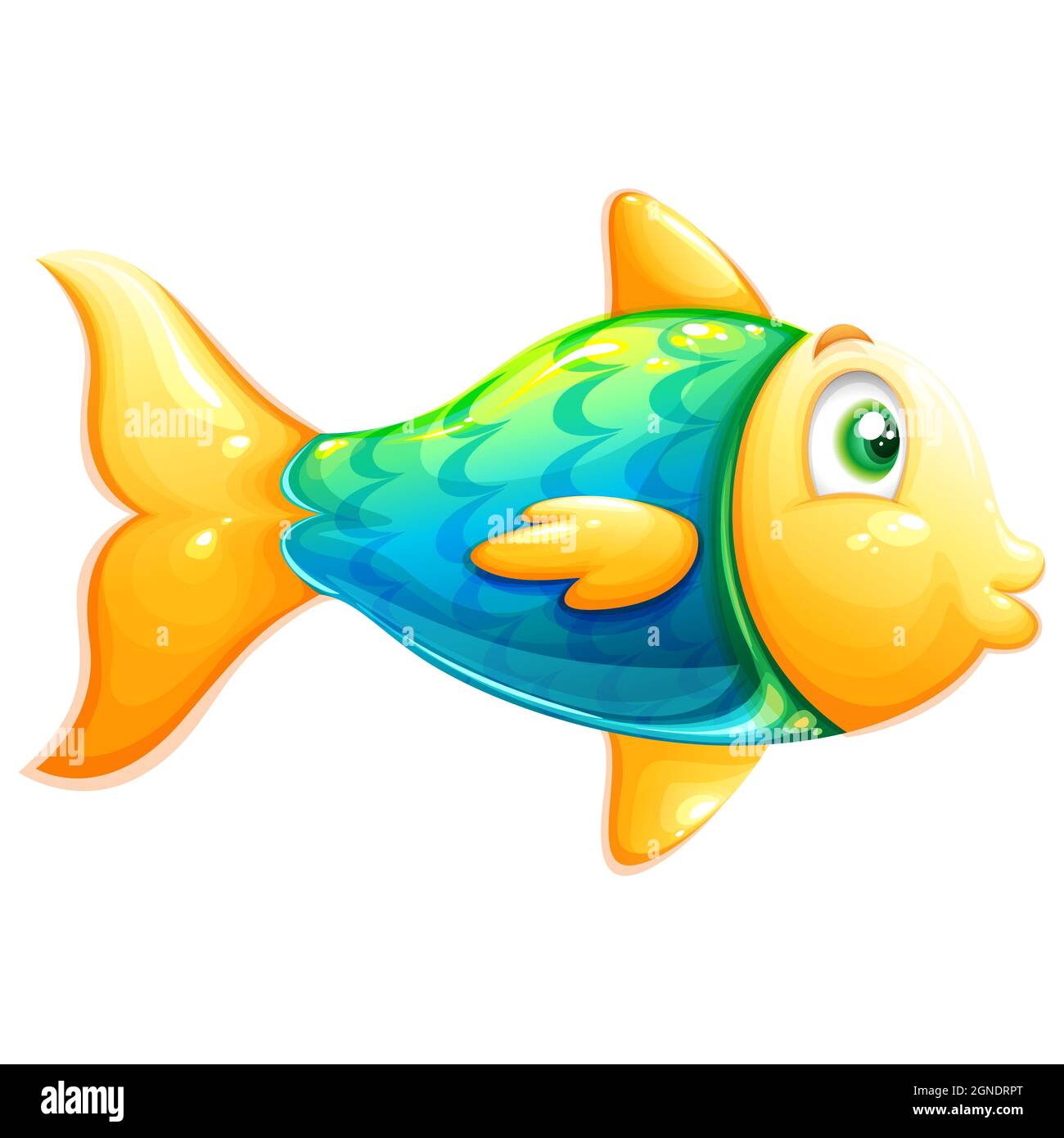 A beautiful little puffy fish Stock Photo - Alamy