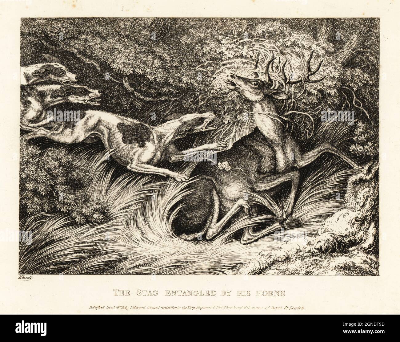Howitt samuel hi-res stock photography and images - Alamy