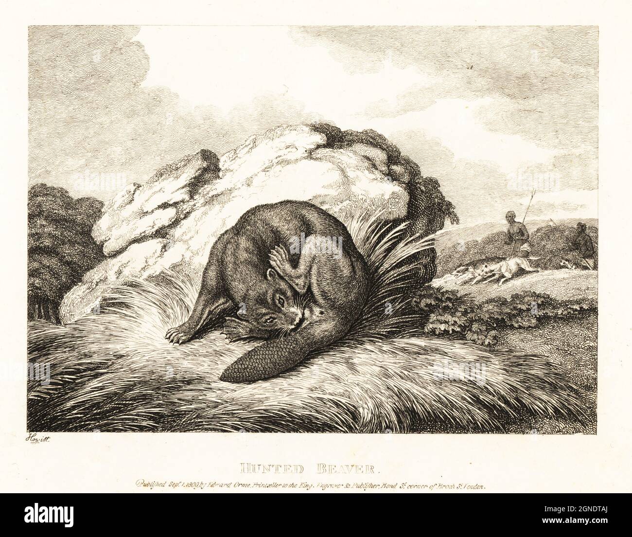 Aesop fables greek hi-res stock photography and images - Alamy