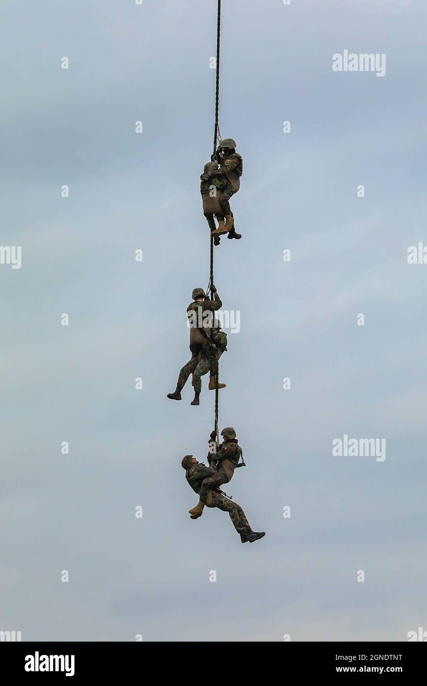 Fries spies hi-res stock photography and images - Alamy