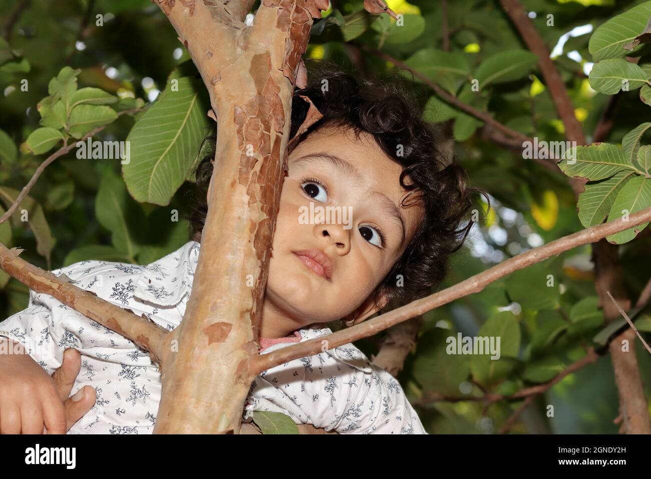 close-up portrait of A beautiful cute face Indian little boy posing ...