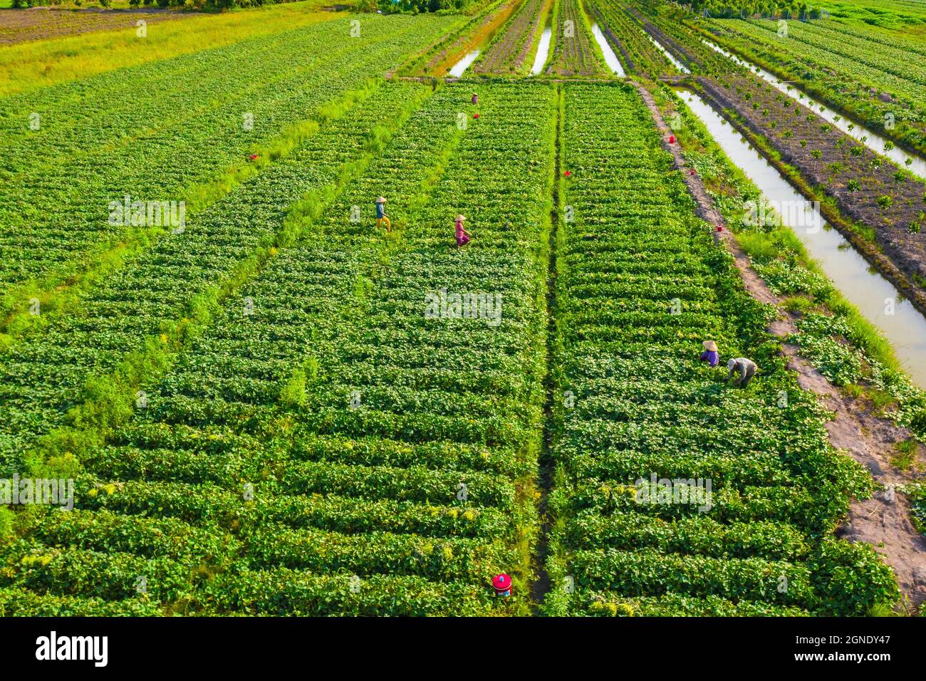 Aerial view tan binh hi-res stock photography and images - Alamy