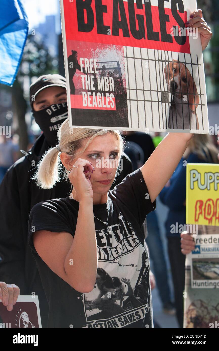 Animal testing protest vivisection hi-res stock photography and images ...