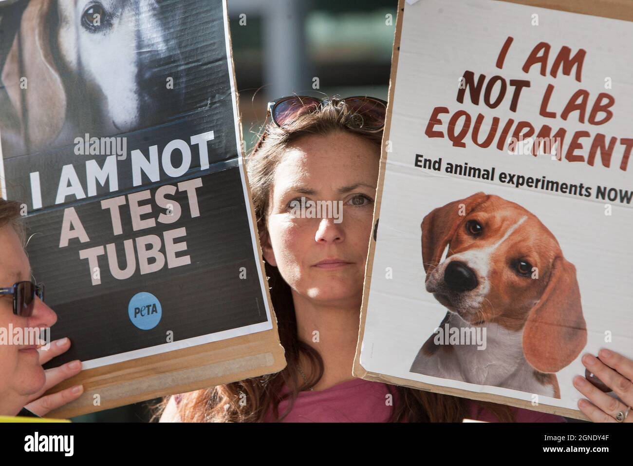 Anti vivisection hi-res stock photography and images - Alamy