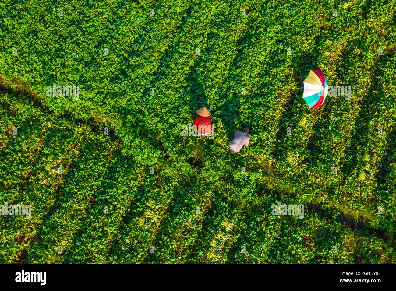 Aerial view tan binh hi-res stock photography and images - Alamy