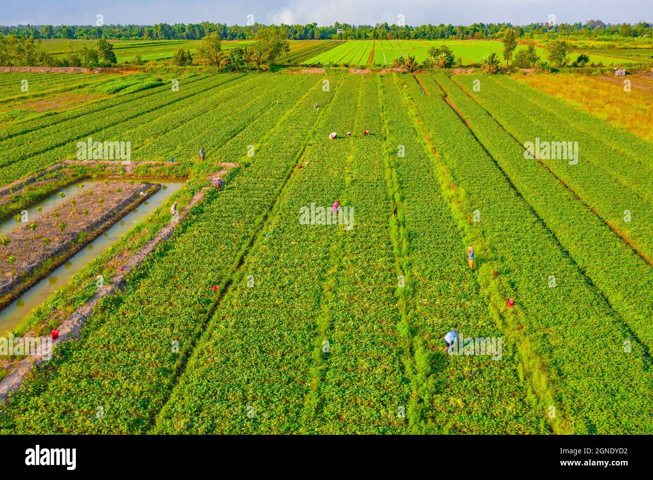Aerial view tan binh hi-res stock photography and images - Alamy