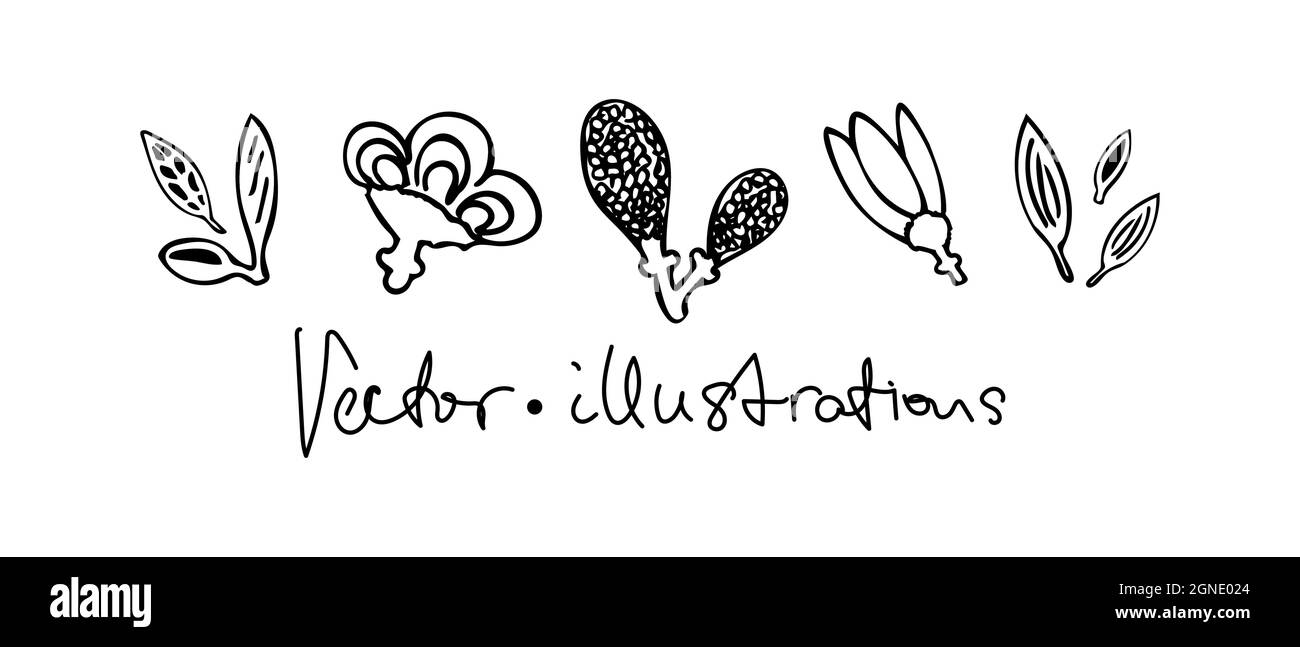 Vector illustrations of a fantasy beautiful flowers and leaves. Vector ...