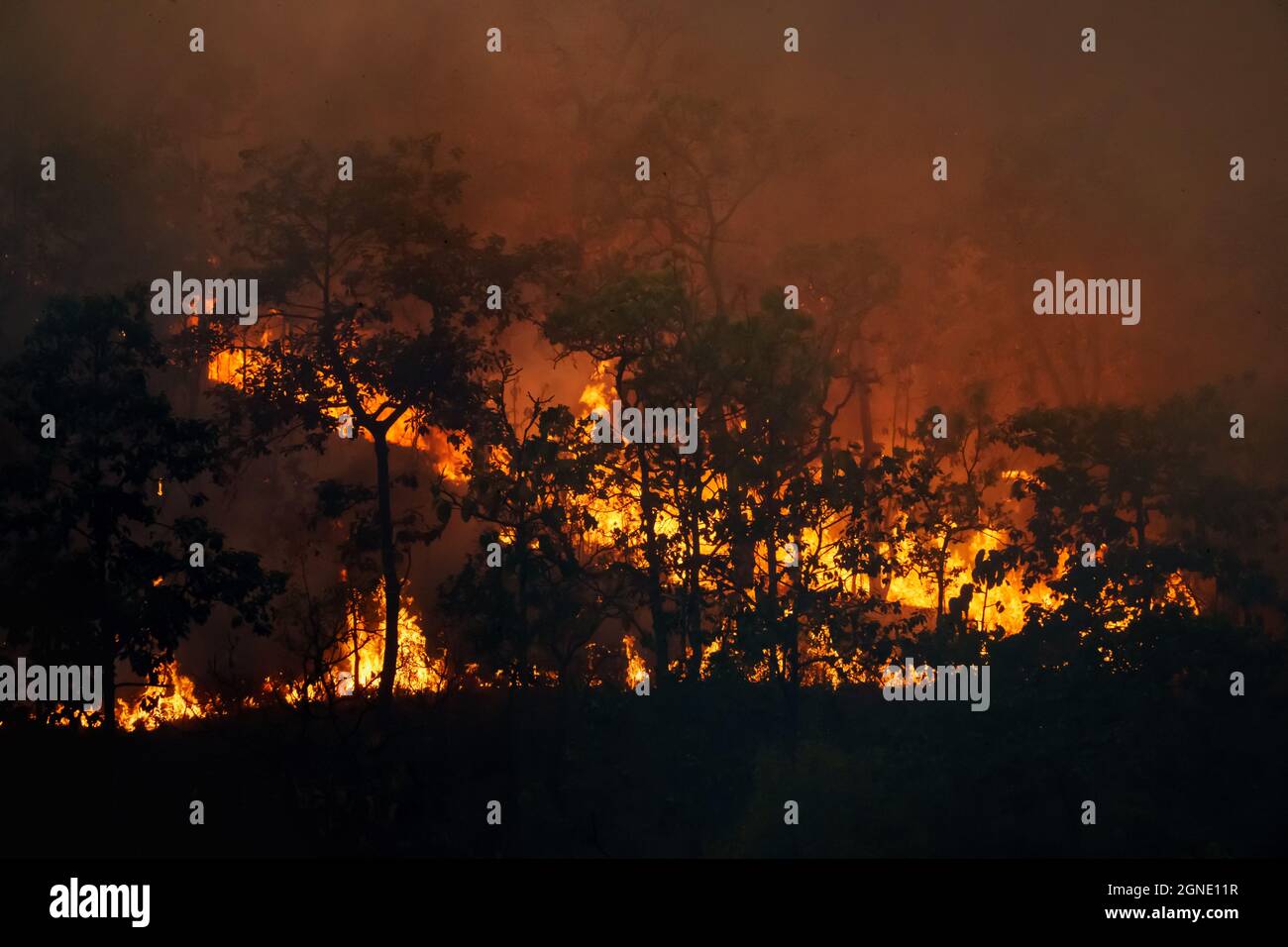 Surface fire hi-res stock photography and images - Alamy