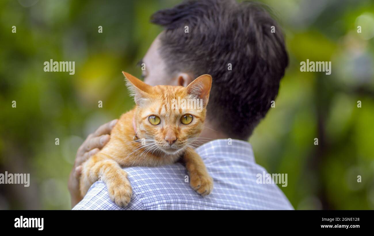 Asian middle aged relaxing with cat in backyard Stock Photo - Alamy