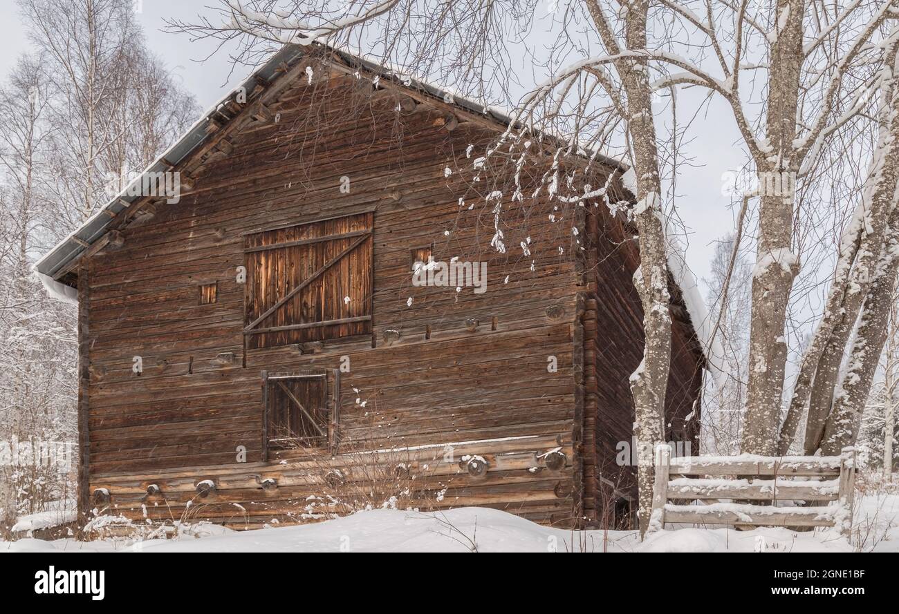 red swedish barn with trees and snow in a winter landscape Stock Photo ...