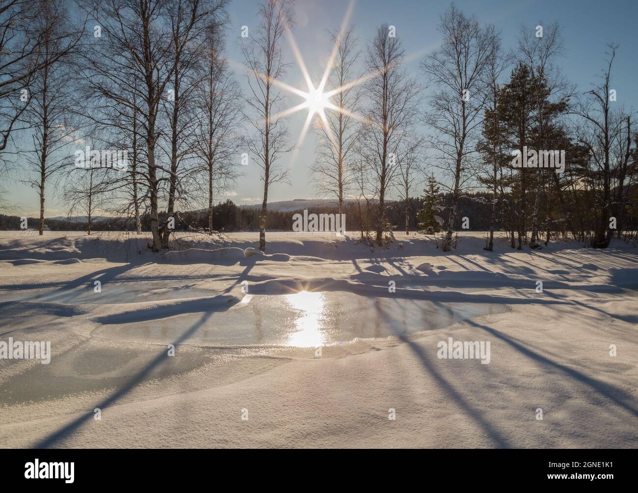 Road light flares hi-res stock photography and images - Alamy