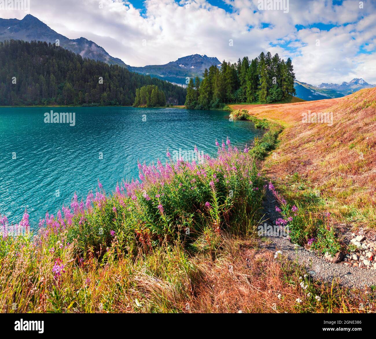 Sunny summer morning on Silvaplana lake. Great outdoor scene in Alps ...