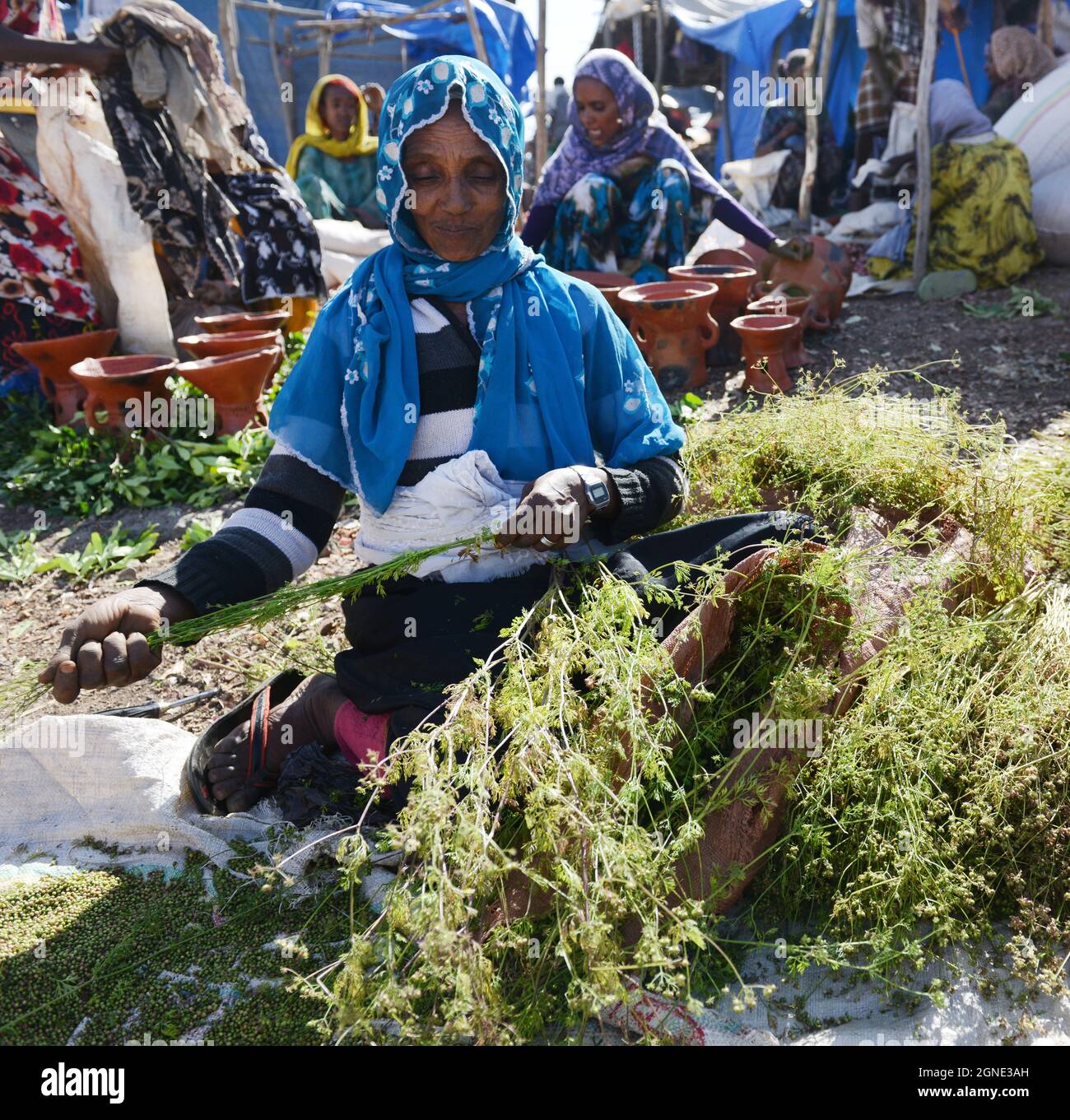 An Oromo woman selling mung beans at the weekly market in Bati ...