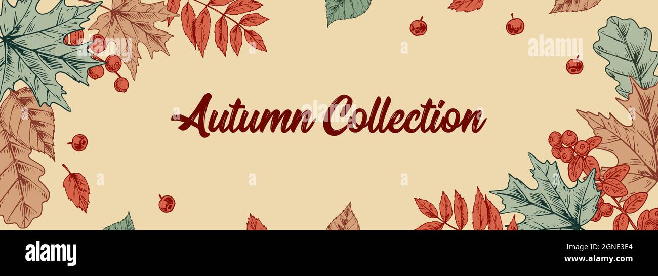 Horizontal colorful Autumn design with leaves and berries. Hand drawn ...