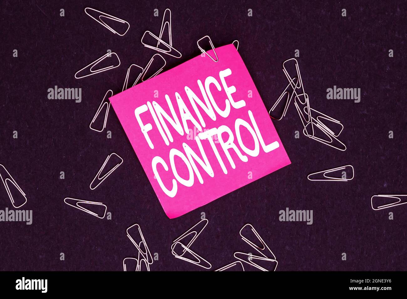 Text caption presenting Finance Control. Business overview procedures ...
