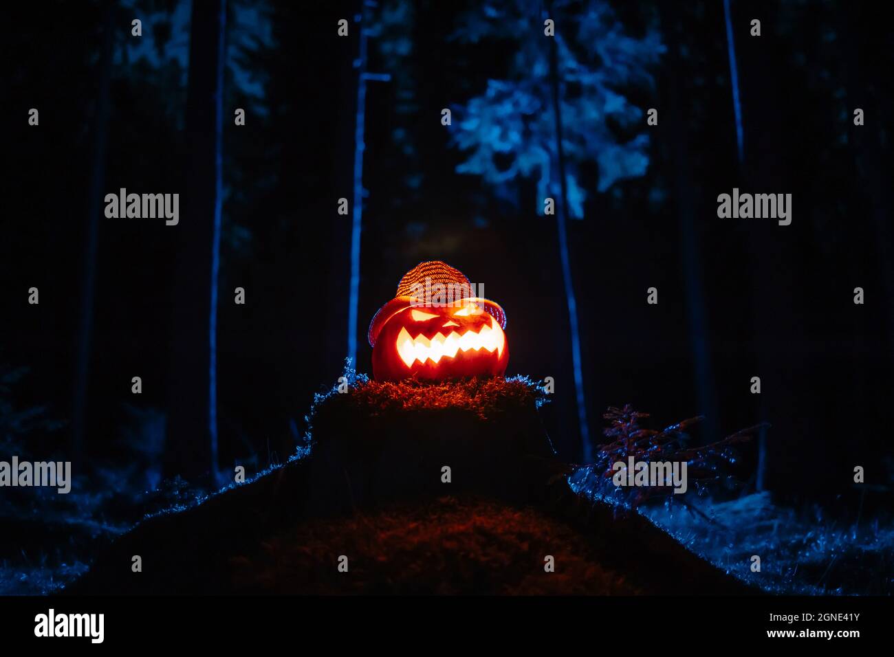 Scary log hi-res stock photography and images - Alamy