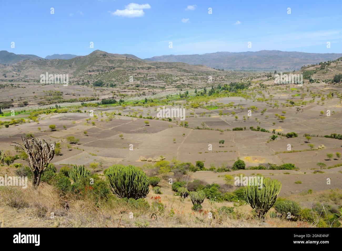 Dessie ethiopian hi-res stock photography and images - Alamy