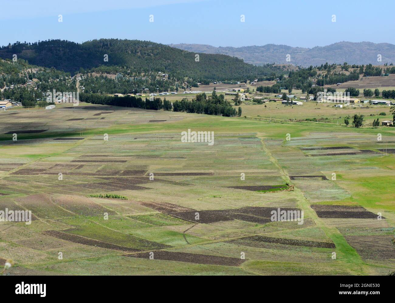 Ethiopia dessie hi-res stock photography and images - Alamy