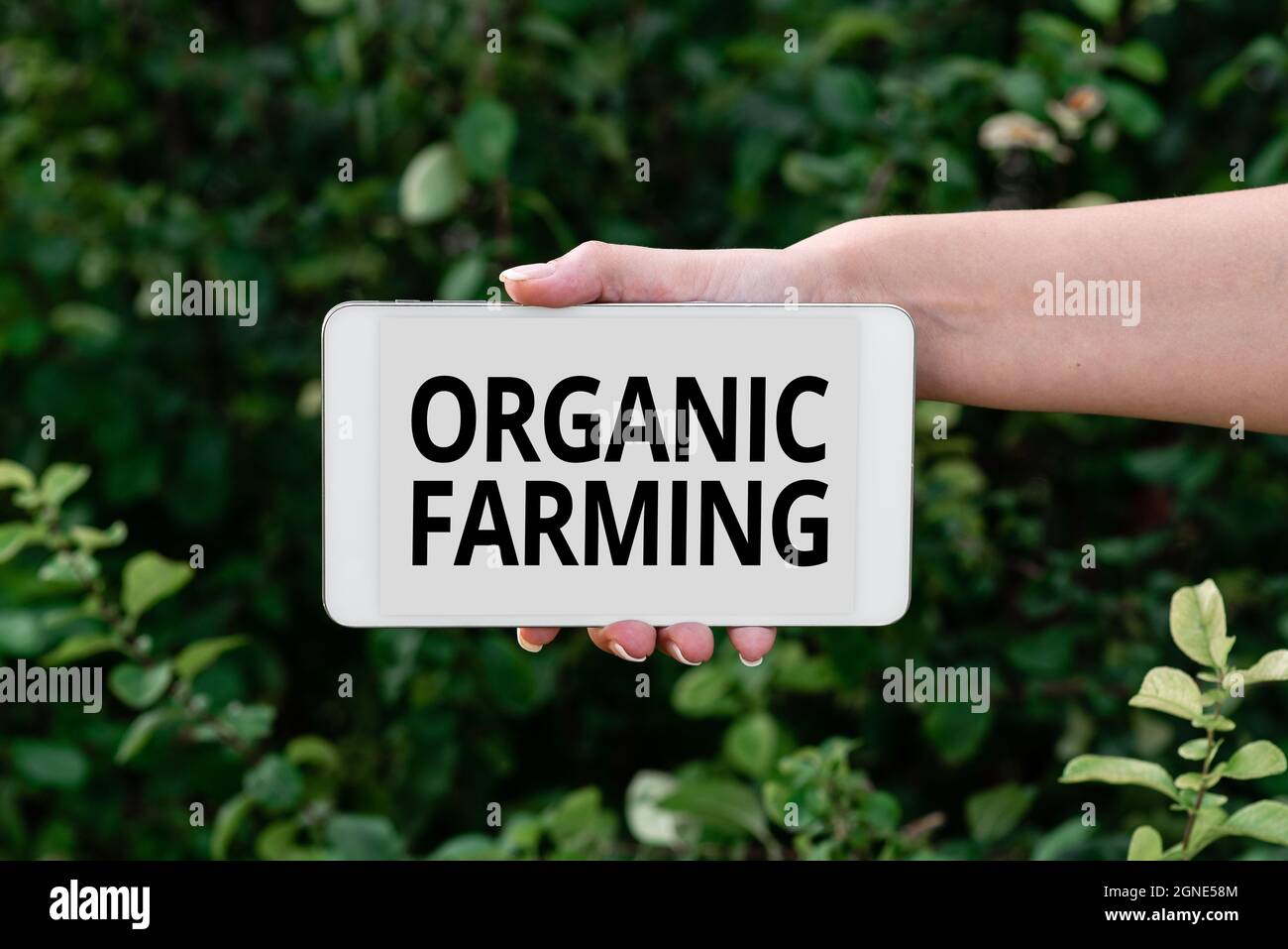 Conceptual display Organic Farming. Word for an integrated farming ...