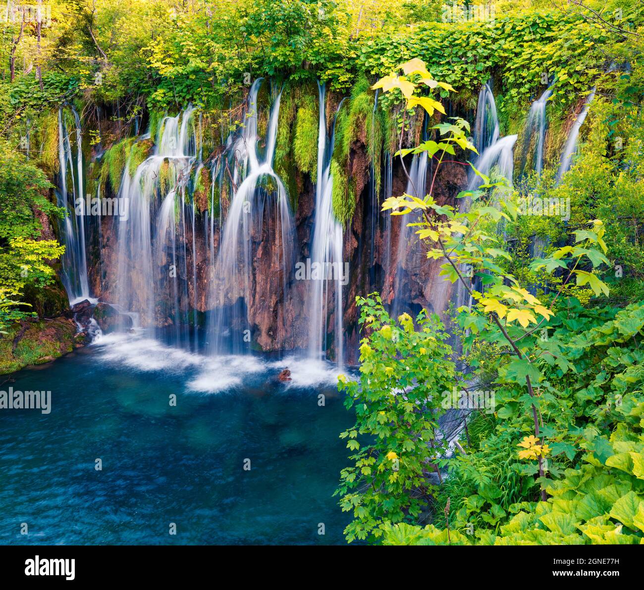 Water Spring Scenery
