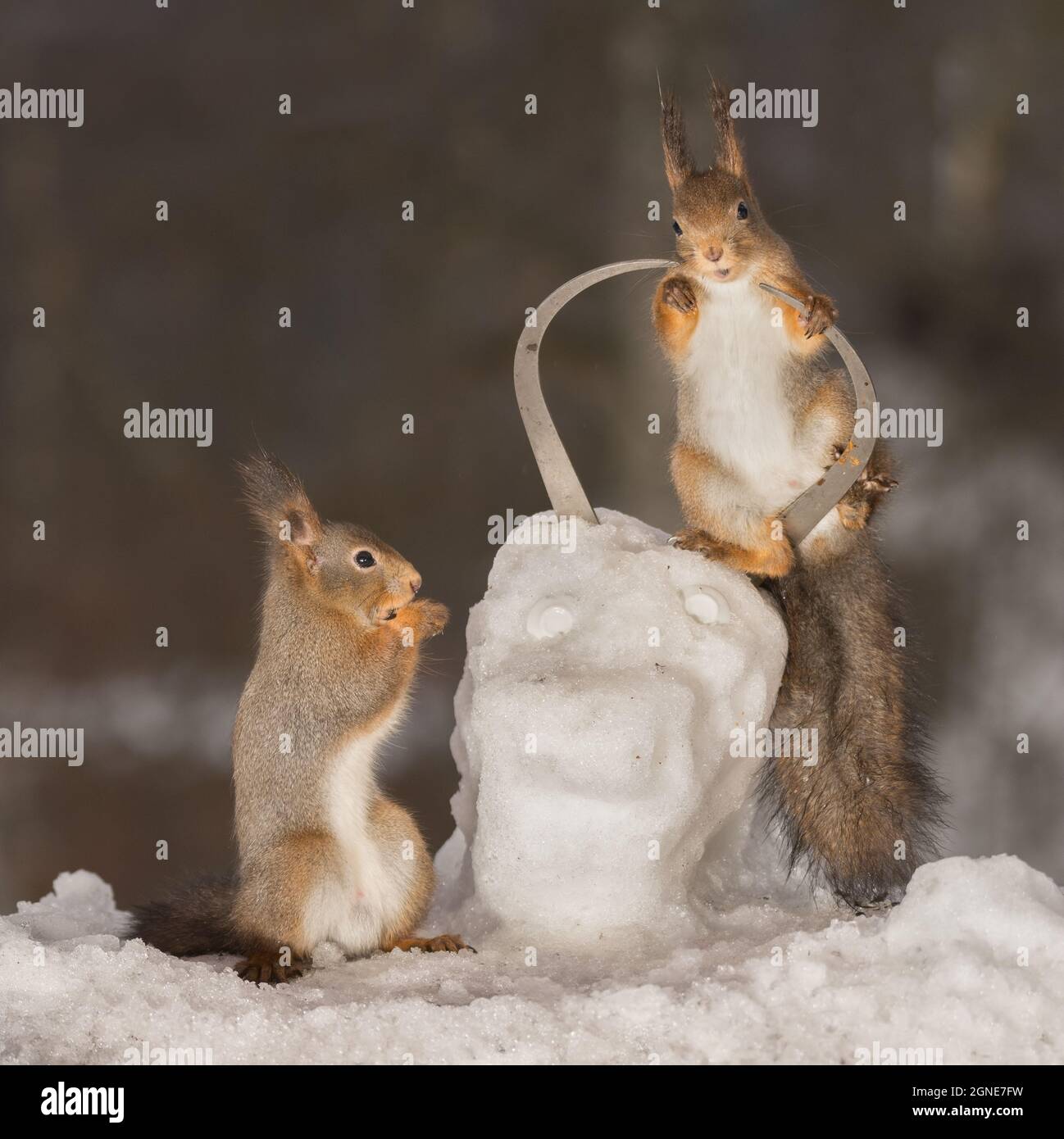 Another watching hi-res stock photography and images - Alamy