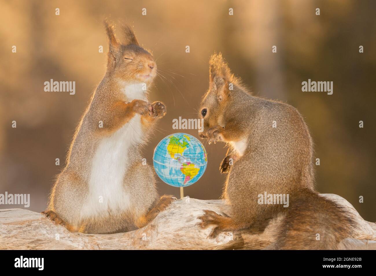 Earth looking at sun hi-res stock photography and images - Alamy