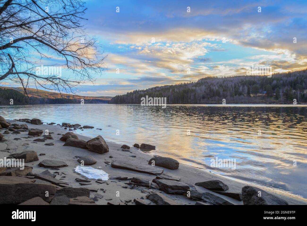 beach with branches,ice, rocks and river with reflections in a forest ...