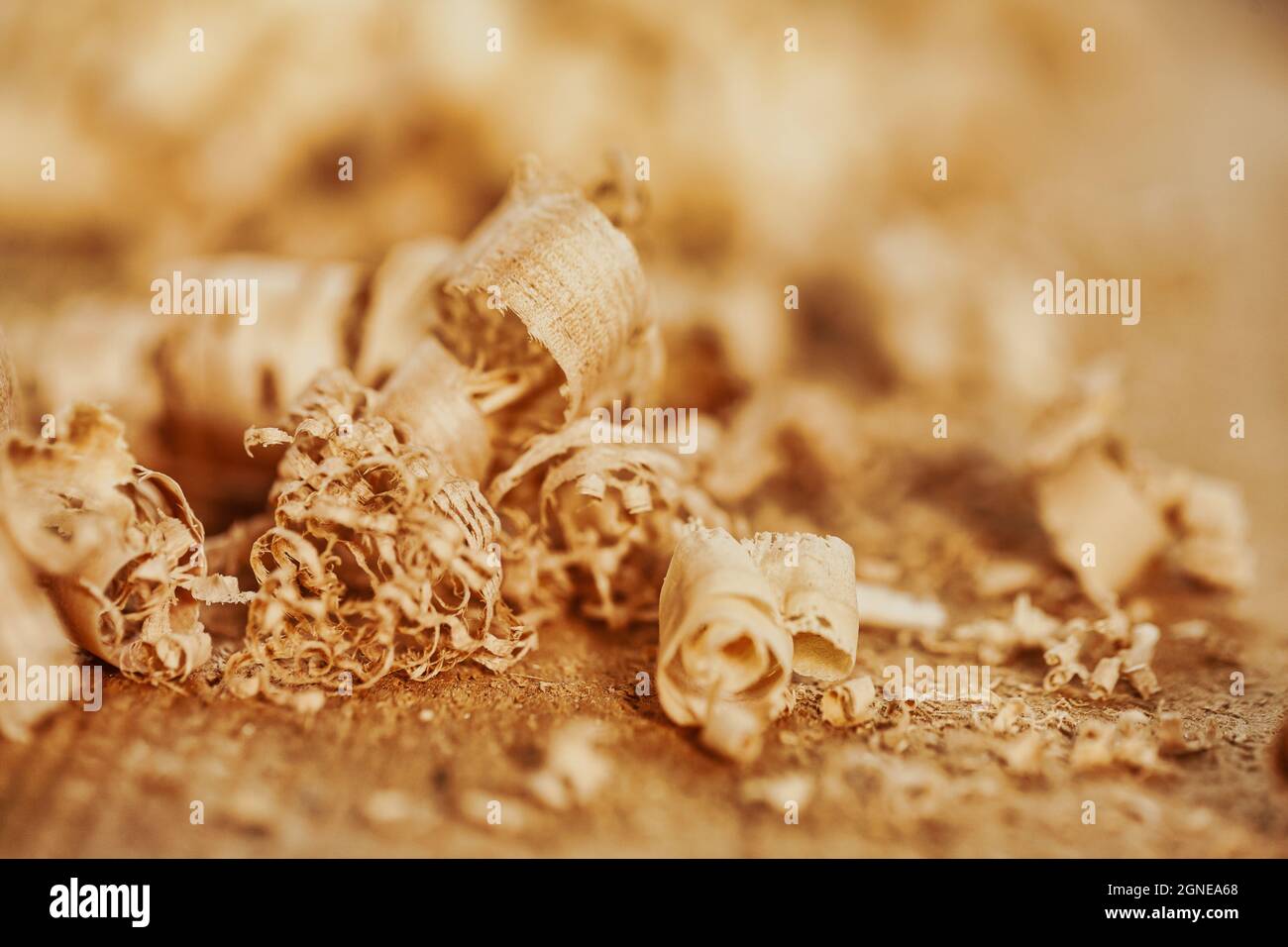 Heap of fresh sawdust and wood shavings on a workbench in a woodworking ...