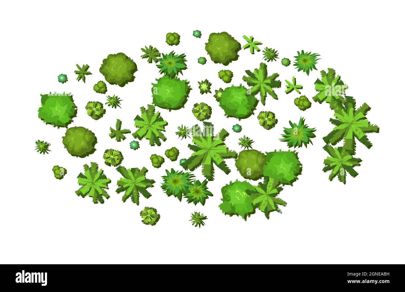 Small forest with height. Park with trees. View from above. Plant ...